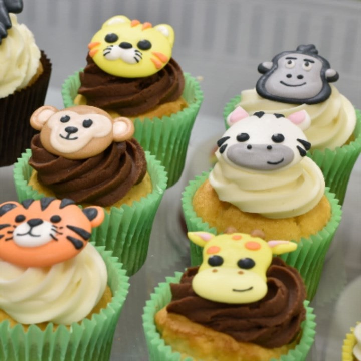 Cute Animals Collection - Handmade Royal Icing Decorations - 35mm ...